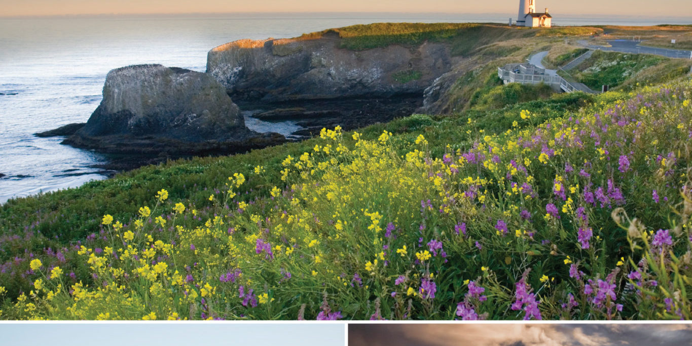 Day Trips to the Oregon Coast Launch - Kim Cooper Findling